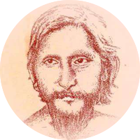 कुकुरमुत्ता - कविता | हिन्दवी